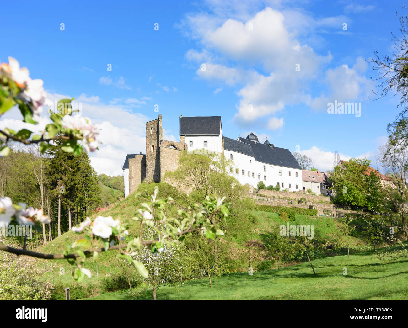 Lauenstein altenberg hi-res stock photography and images - Alamy