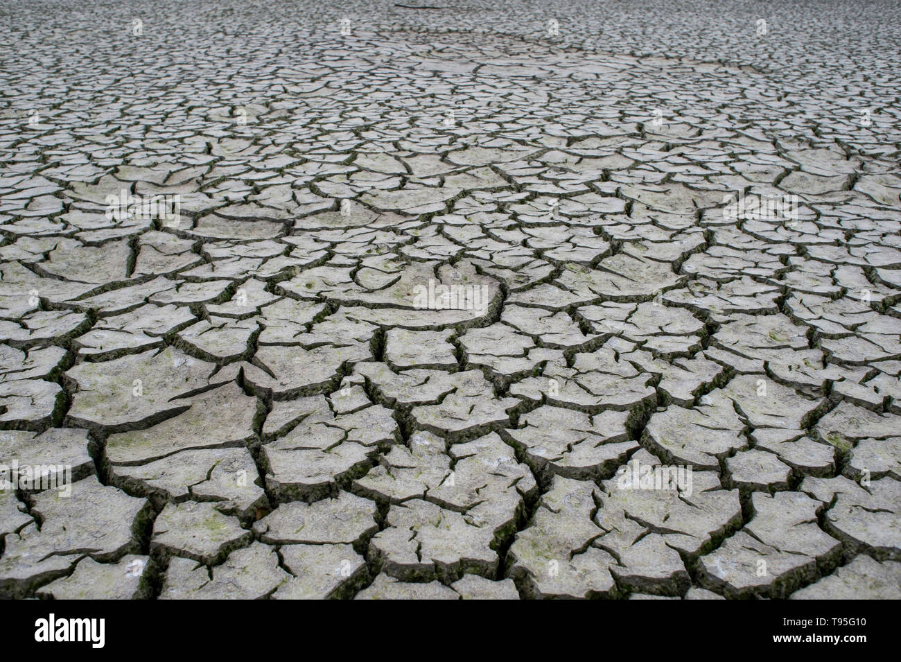 Cracked earth in the figurative cracks. The concept of scarcity of ...