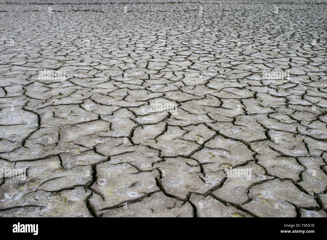 Scarcity Of Natural Resources