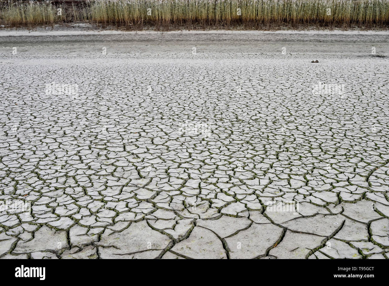 The bed of the dried-up river in autumn. Background, texture, ecology ...