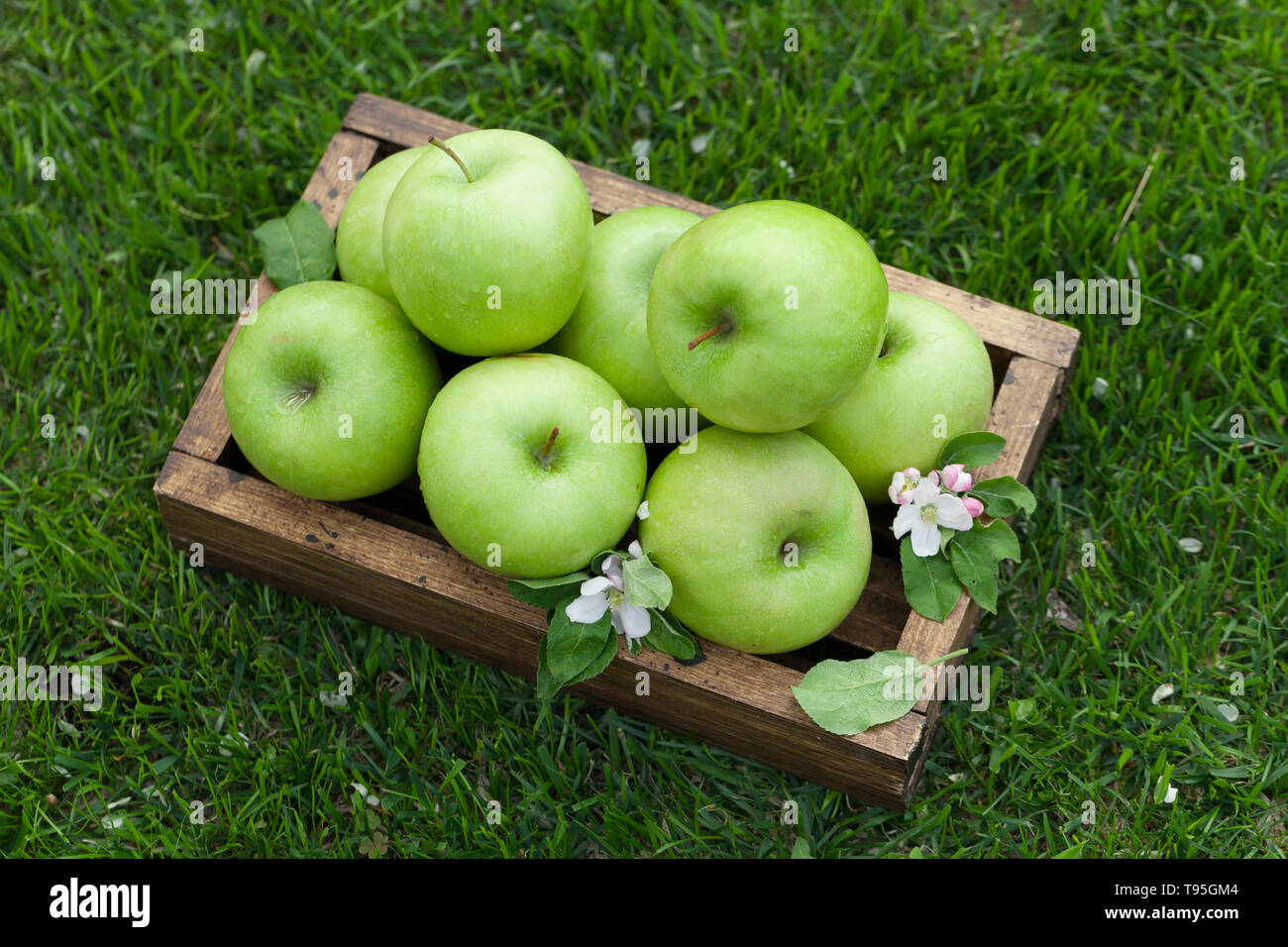 Fresh garden green apples in box. On grass meadow Stock Photo - Alamy