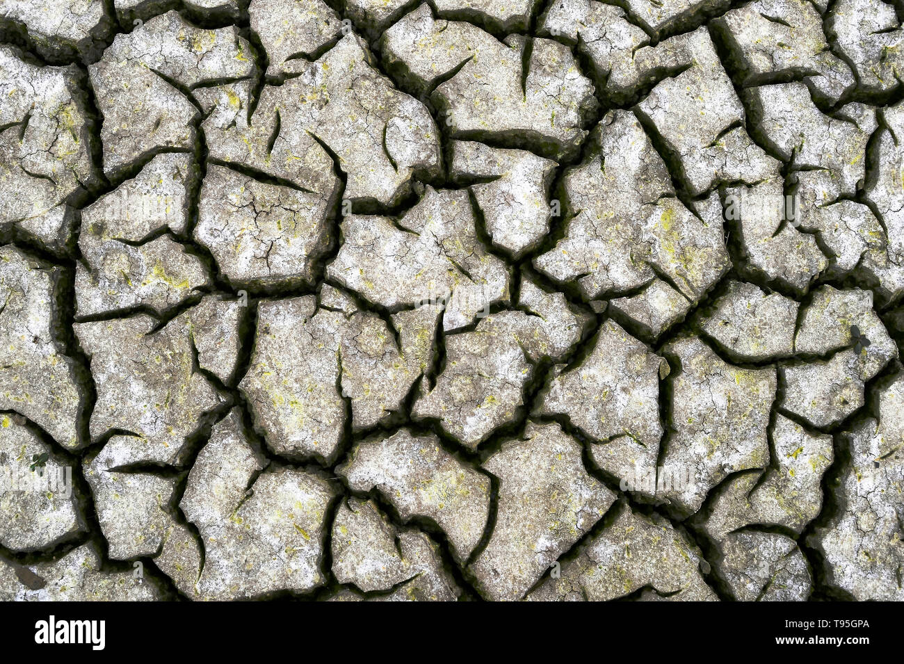 Cracks in the dry ground. Background, texture ecology Stock Photo - Alamy