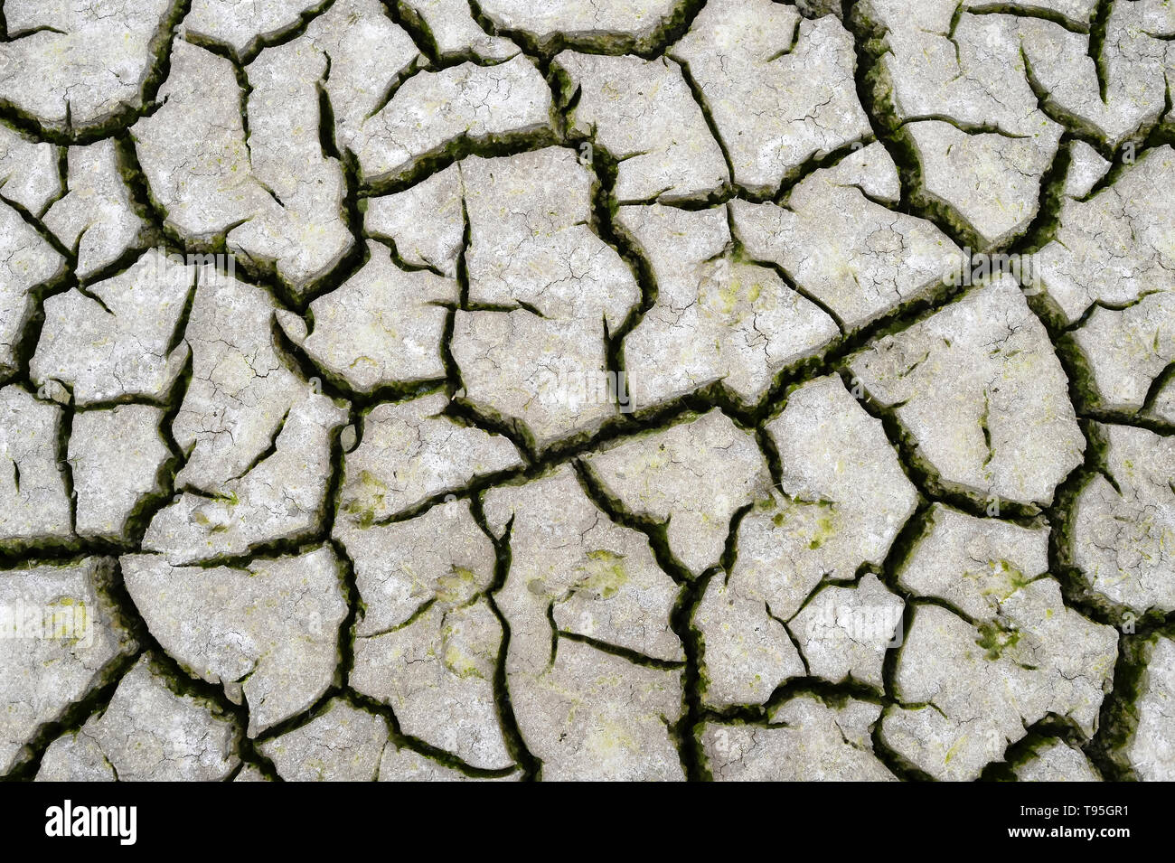 Cracks in the dry ground. Background, texture ecology Stock Photo - Alamy