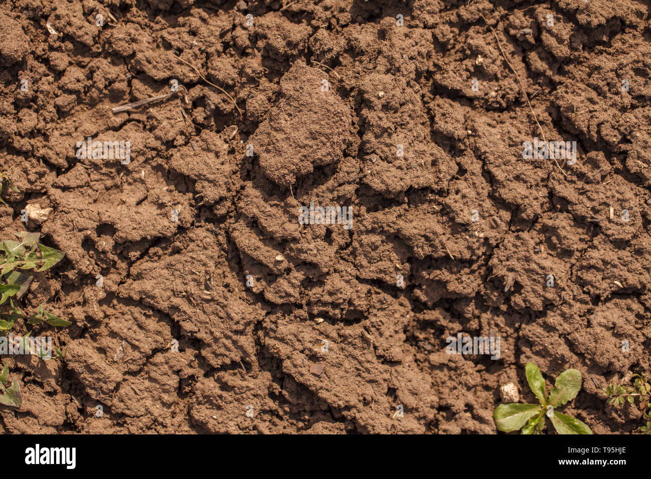 Dry cracked soil Stock Photo - Alamy