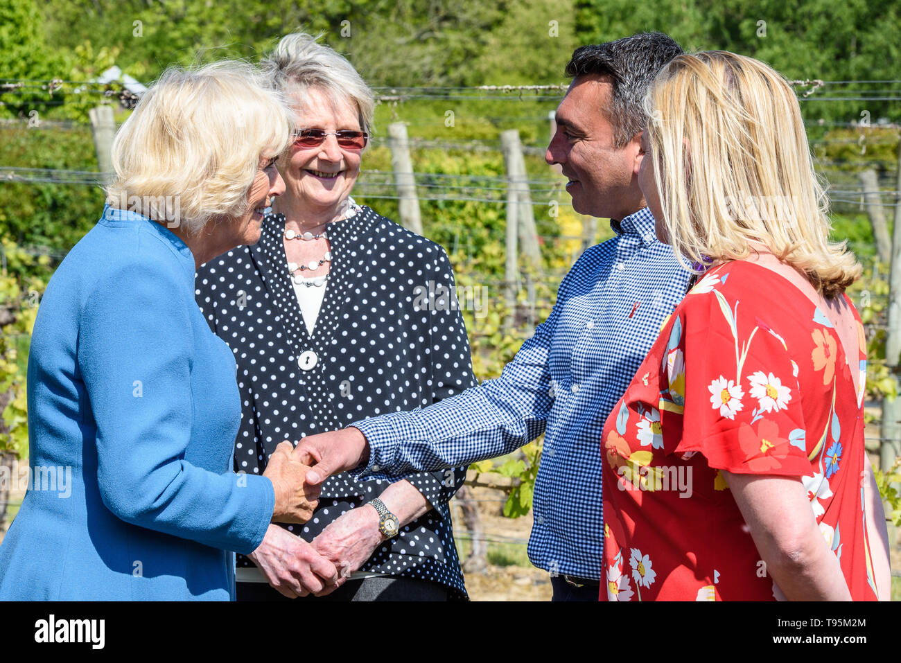 Julia roberts photo credit hi-res stock photography and images - Alamy
