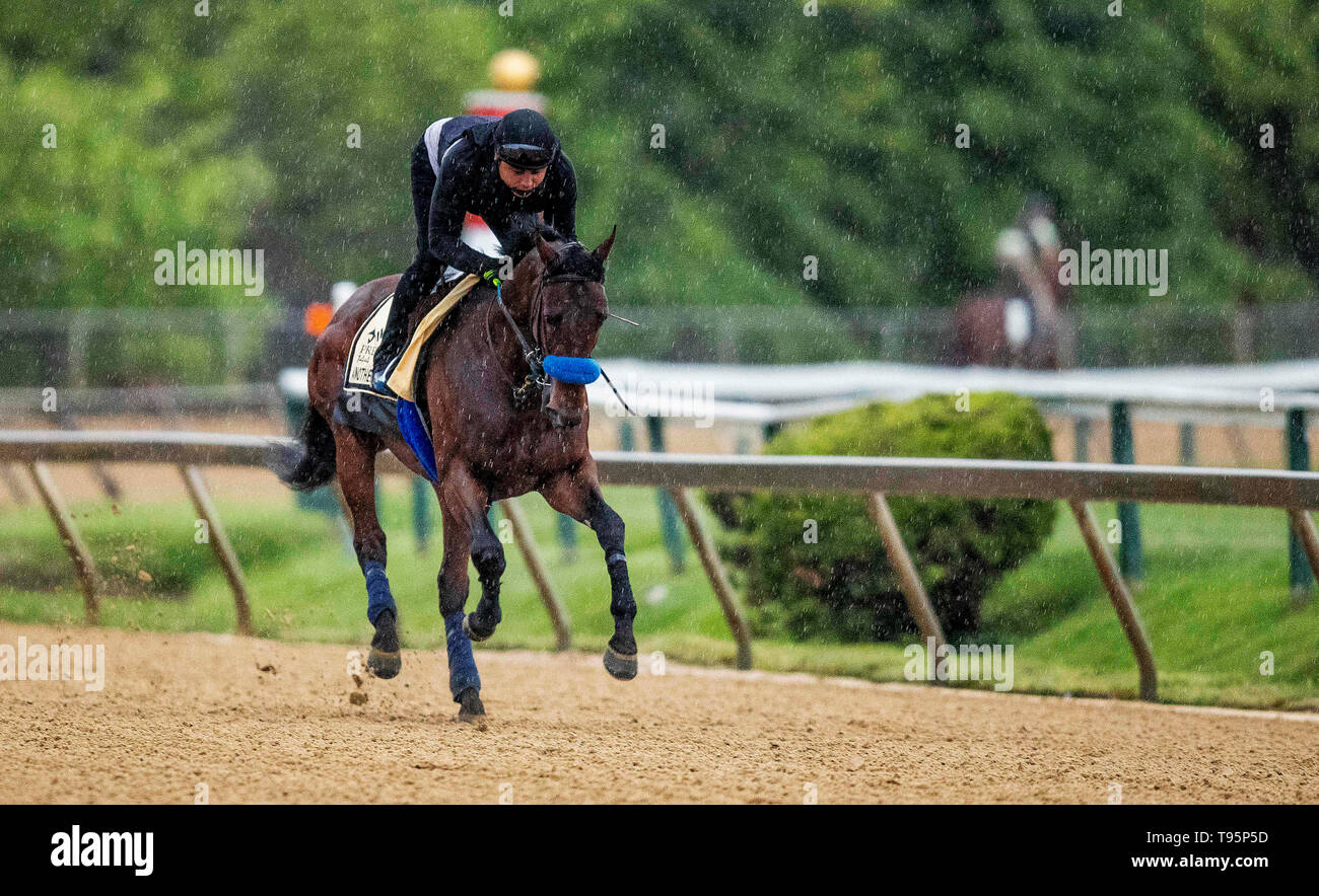 Baltimore, Maryland, USA. 16th May, 2019. BALTIMORE, MARYLAND - MAY 16 ...