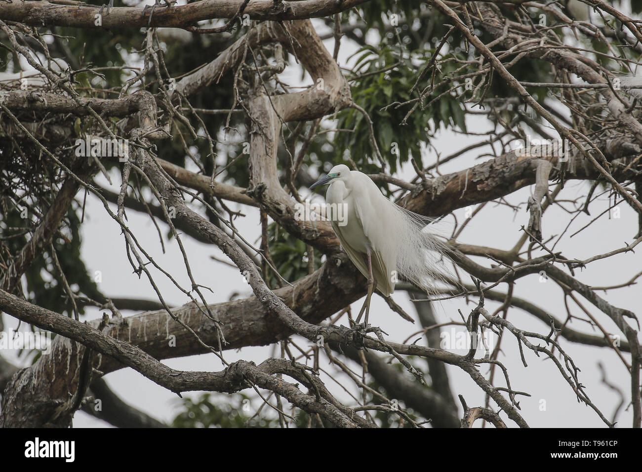 Yecheon Yecheon, GYEONGBUK GYEONGBUK, SOUTH KOREA SOUTH KOREA. 17th May ...