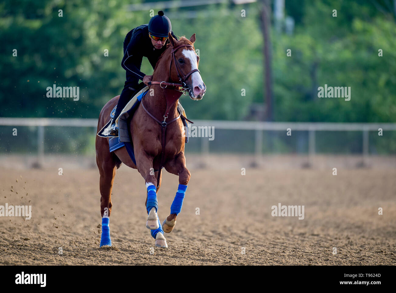 Improbable race horse hi-res stock photography and images - Alamy