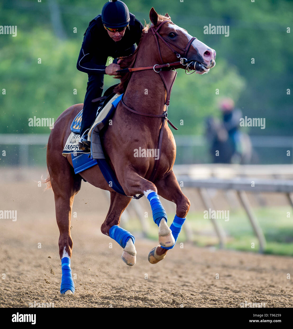 Improbable race horse hi-res stock photography and images - Alamy