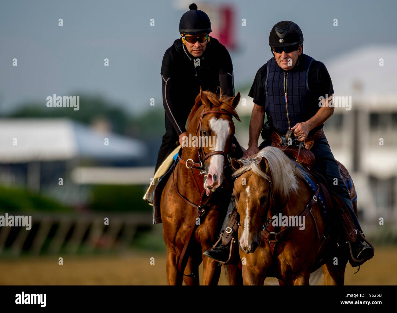 Improbable race horse hi-res stock photography and images - Alamy