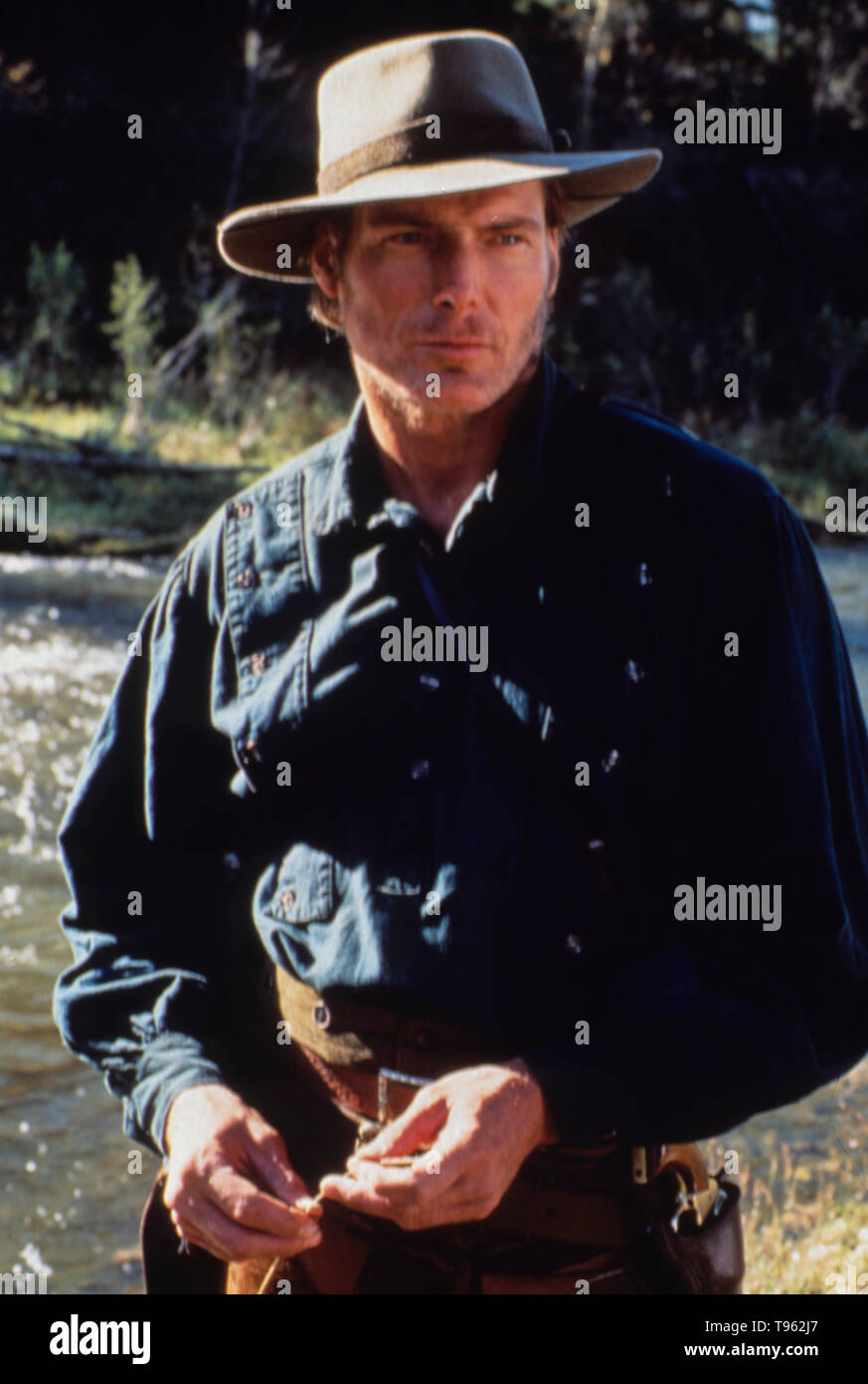 Black fox hi-res stock photography and images - Alamy