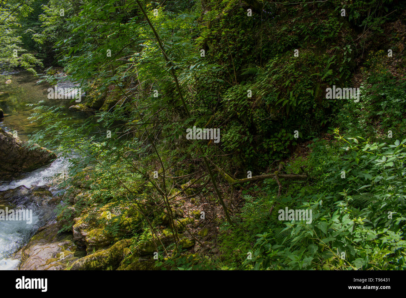 Bqla reka hi-res stock photography and images - Alamy