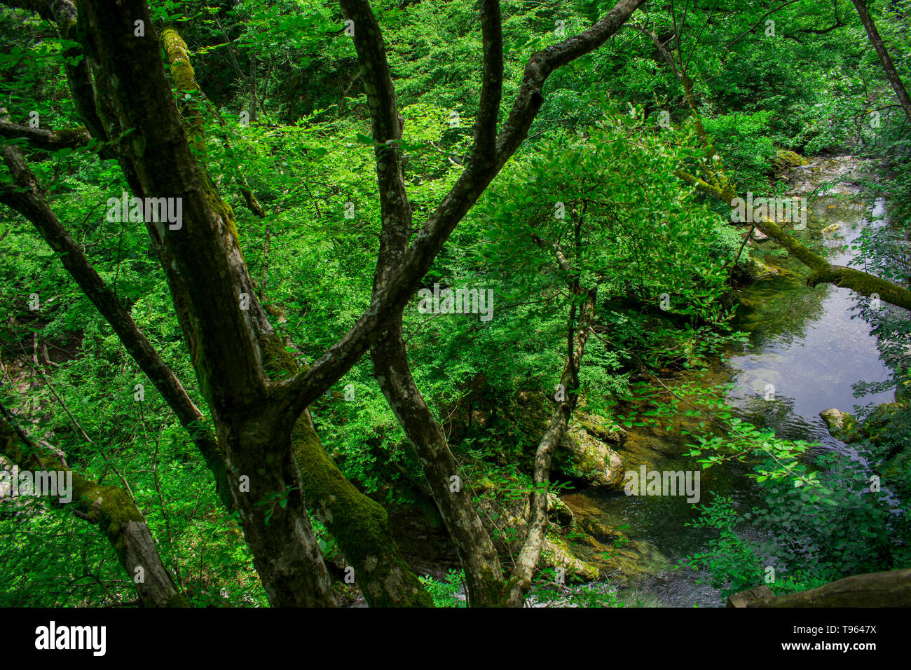 Bqla reka (white river Stock Photo - Alamy
