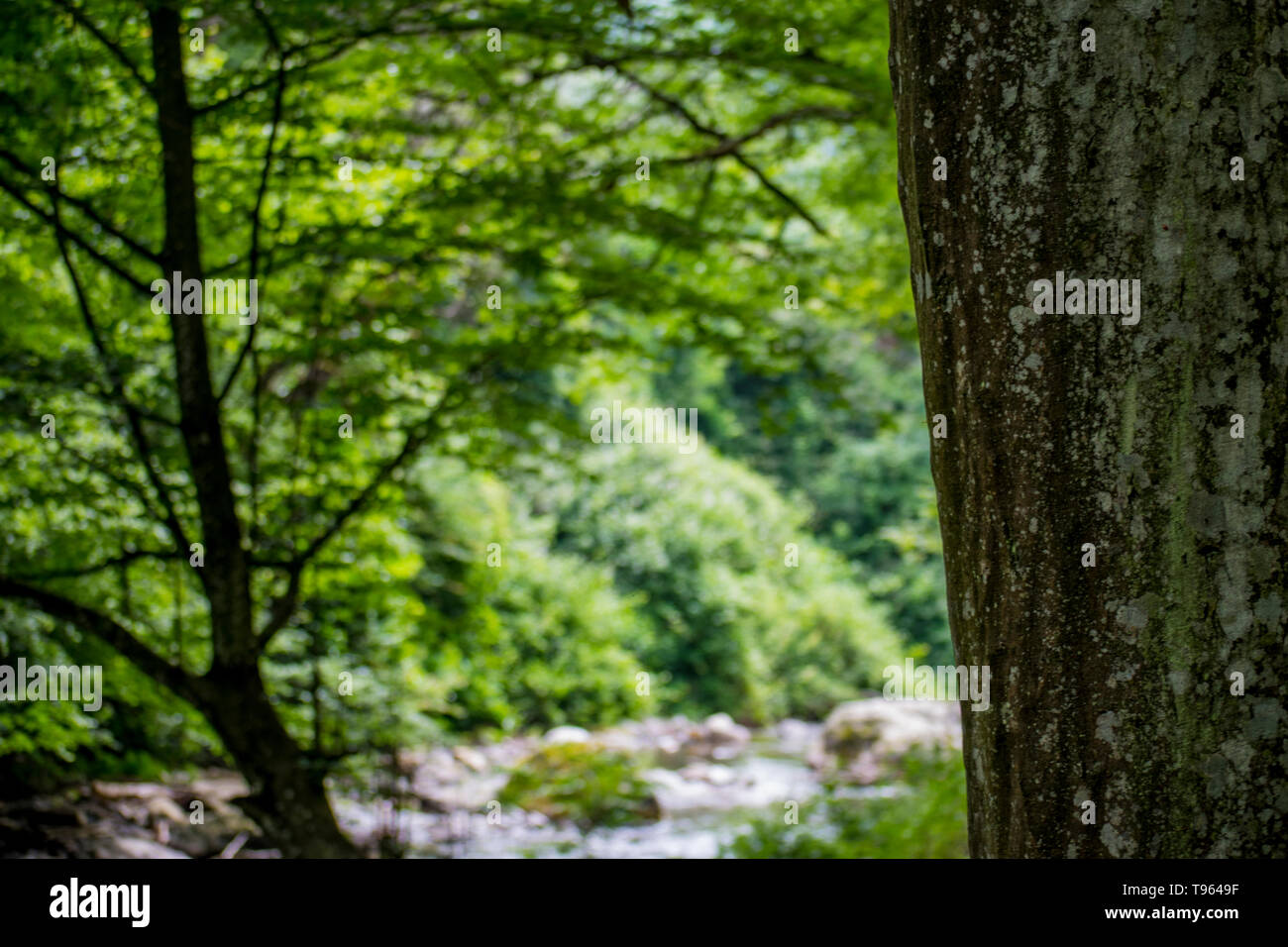 Bqla reka hi-res stock photography and images - Alamy