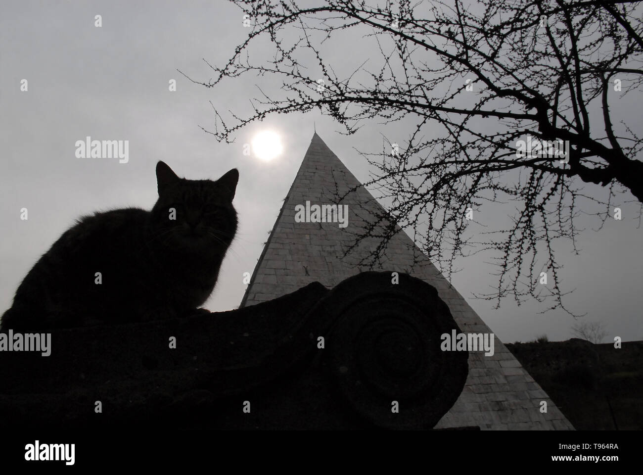 Cat pyramid hi-res stock photography and images - Alamy