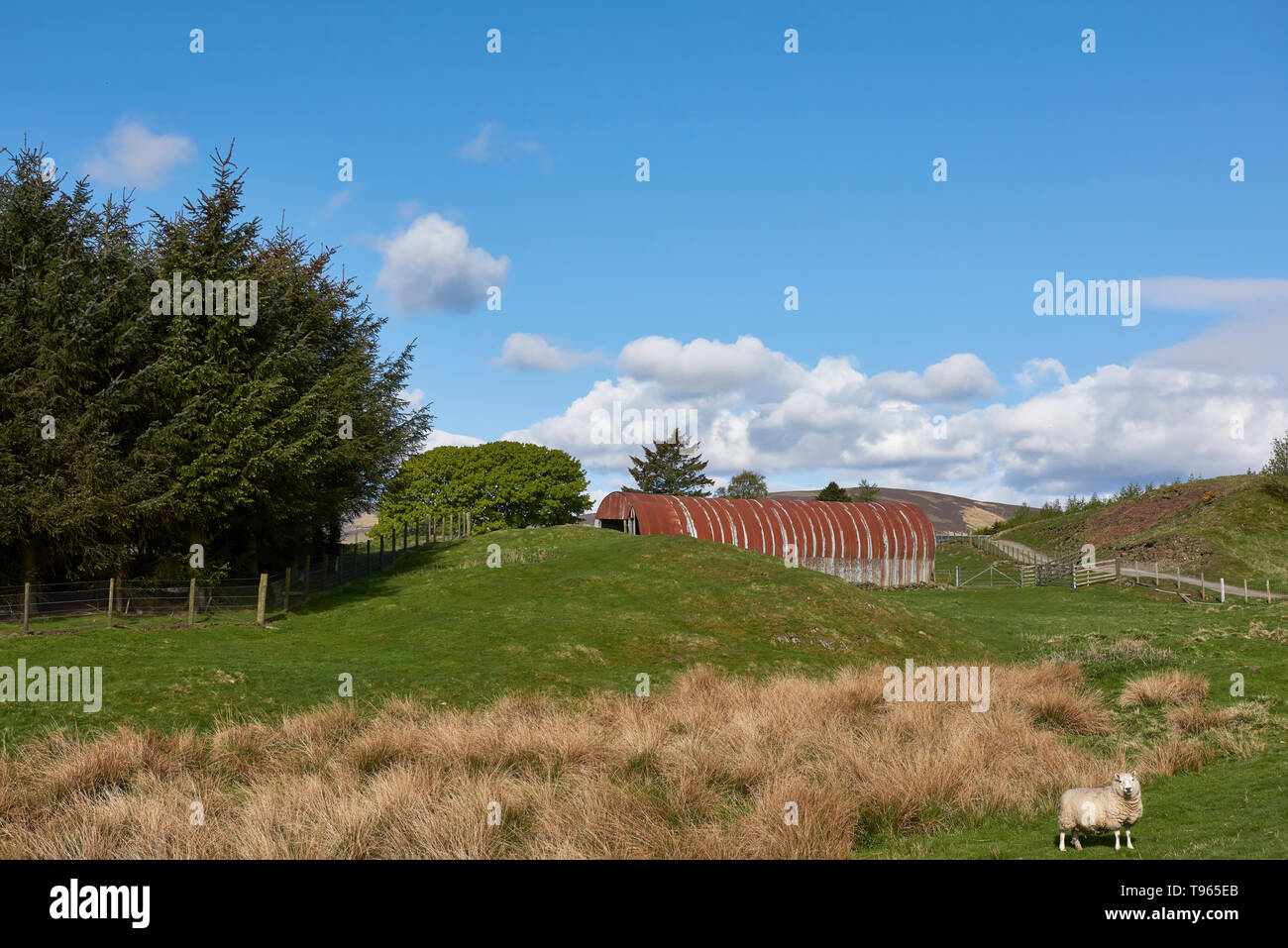 Galvanised tin sheet clad farm building hi-res stock photography and ...
