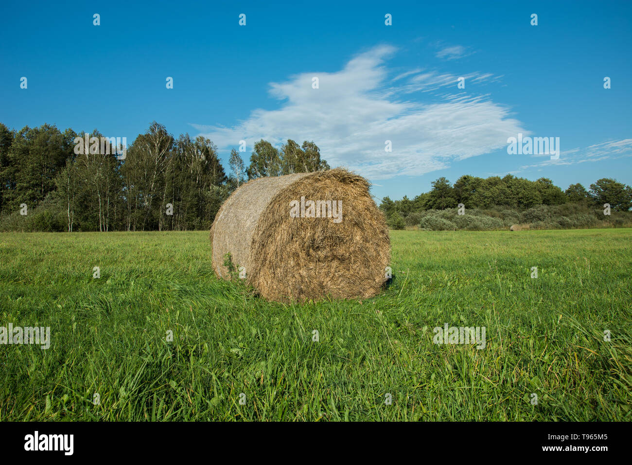 Mown hay hi-res stock photography and images - Alamy