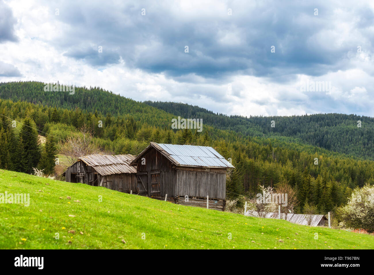 Beautiful village wooden cottage hi-res stock photography and images ...