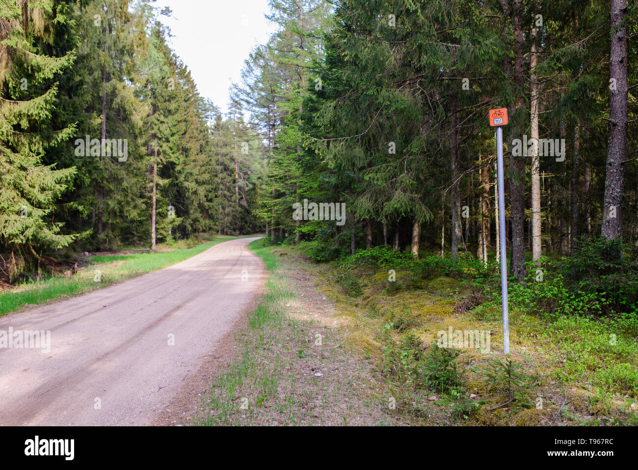 Green velo hi-res stock photography and images - Alamy
