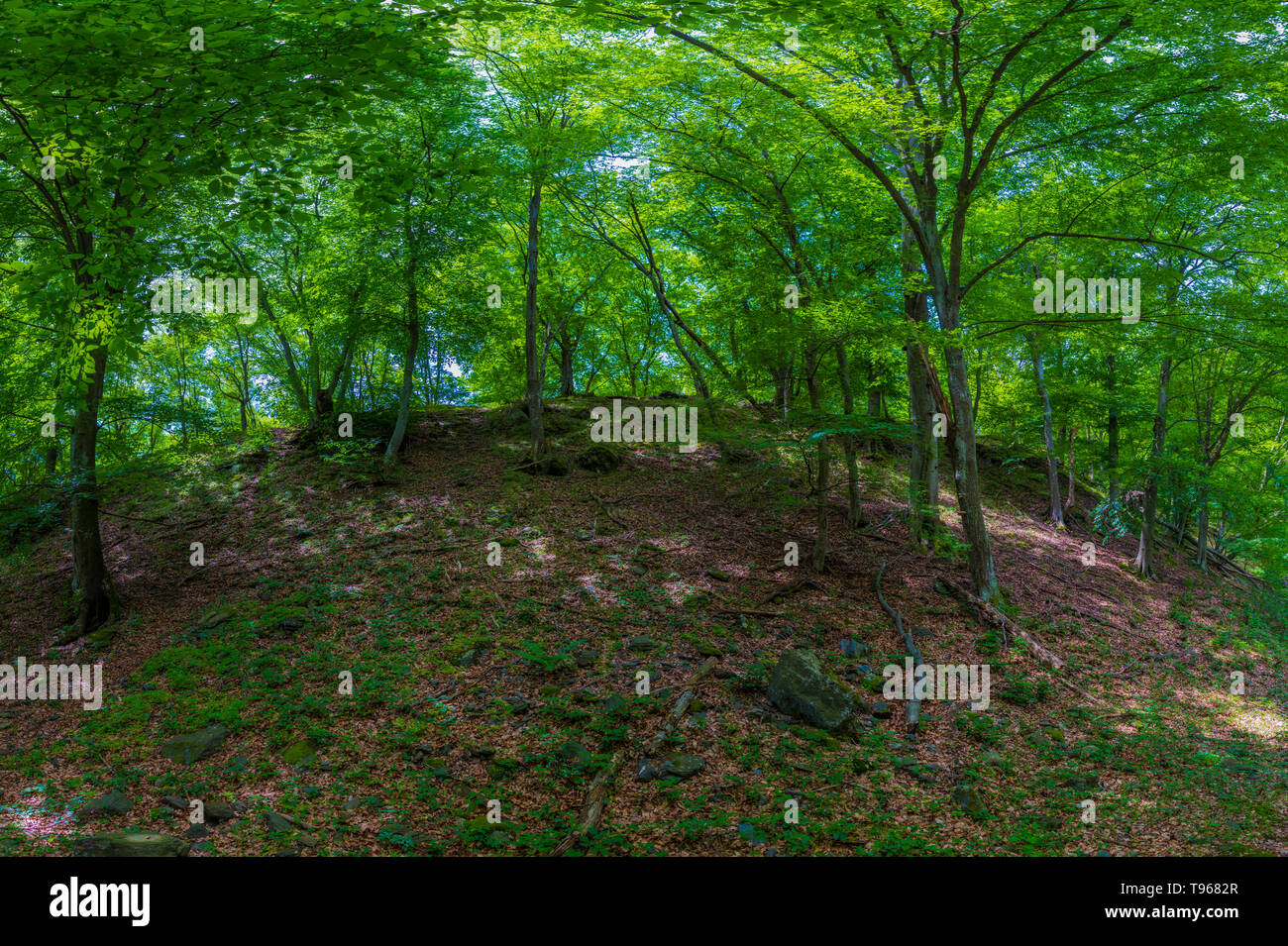 Bqla reka hi-res stock photography and images - Alamy