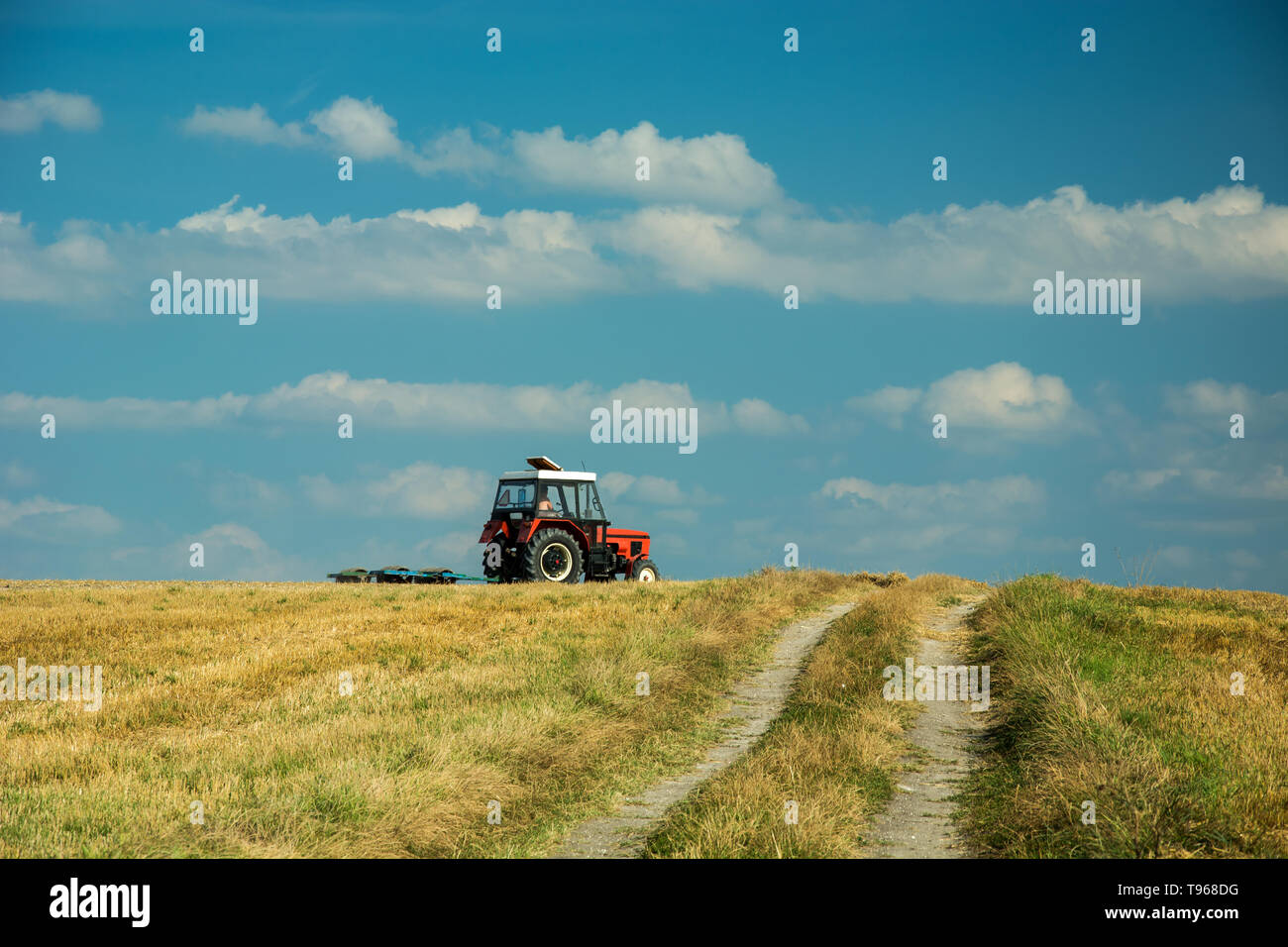 Cultivation field country scene in hi-res stock photography and images ...