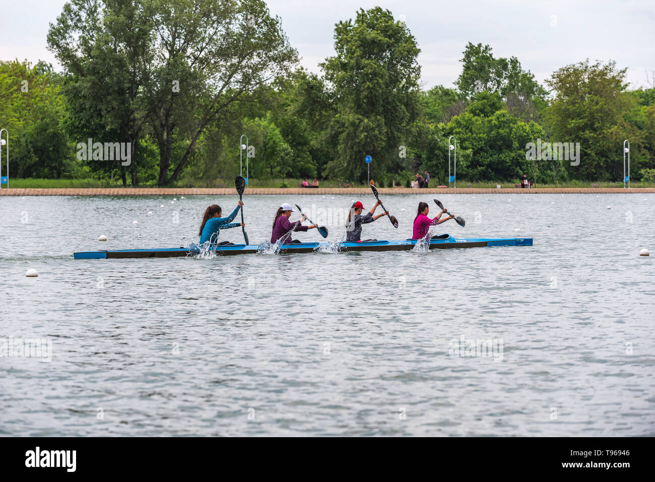 Women rowing team hi-res stock photography and images - Alamy