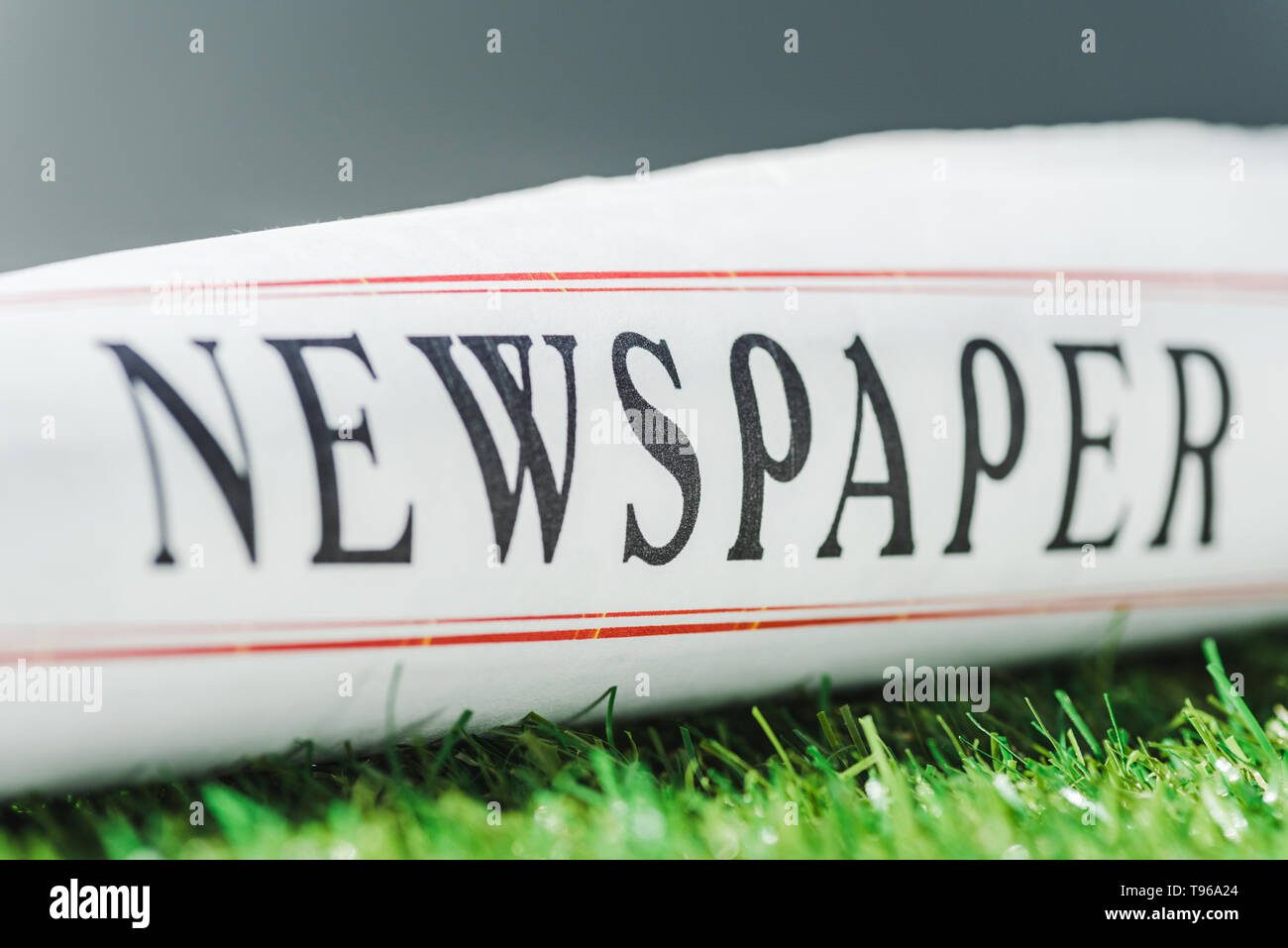 close up of rolled daily print newspaper on green grass Stock Photo - Alamy