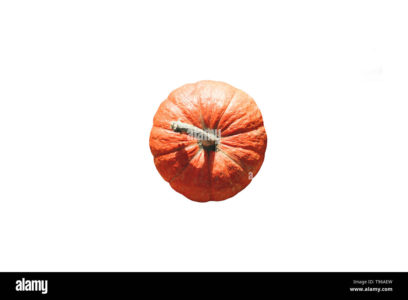 Pumpkin top view isolated on white background Stock Photo - Alamy