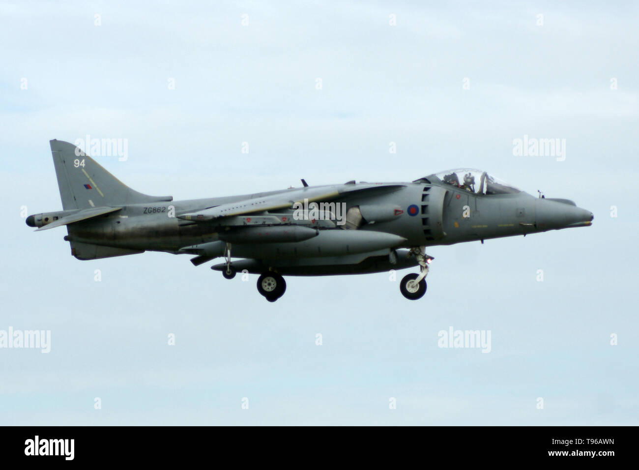 Harrier camouflage hi-res stock photography and images - Alamy