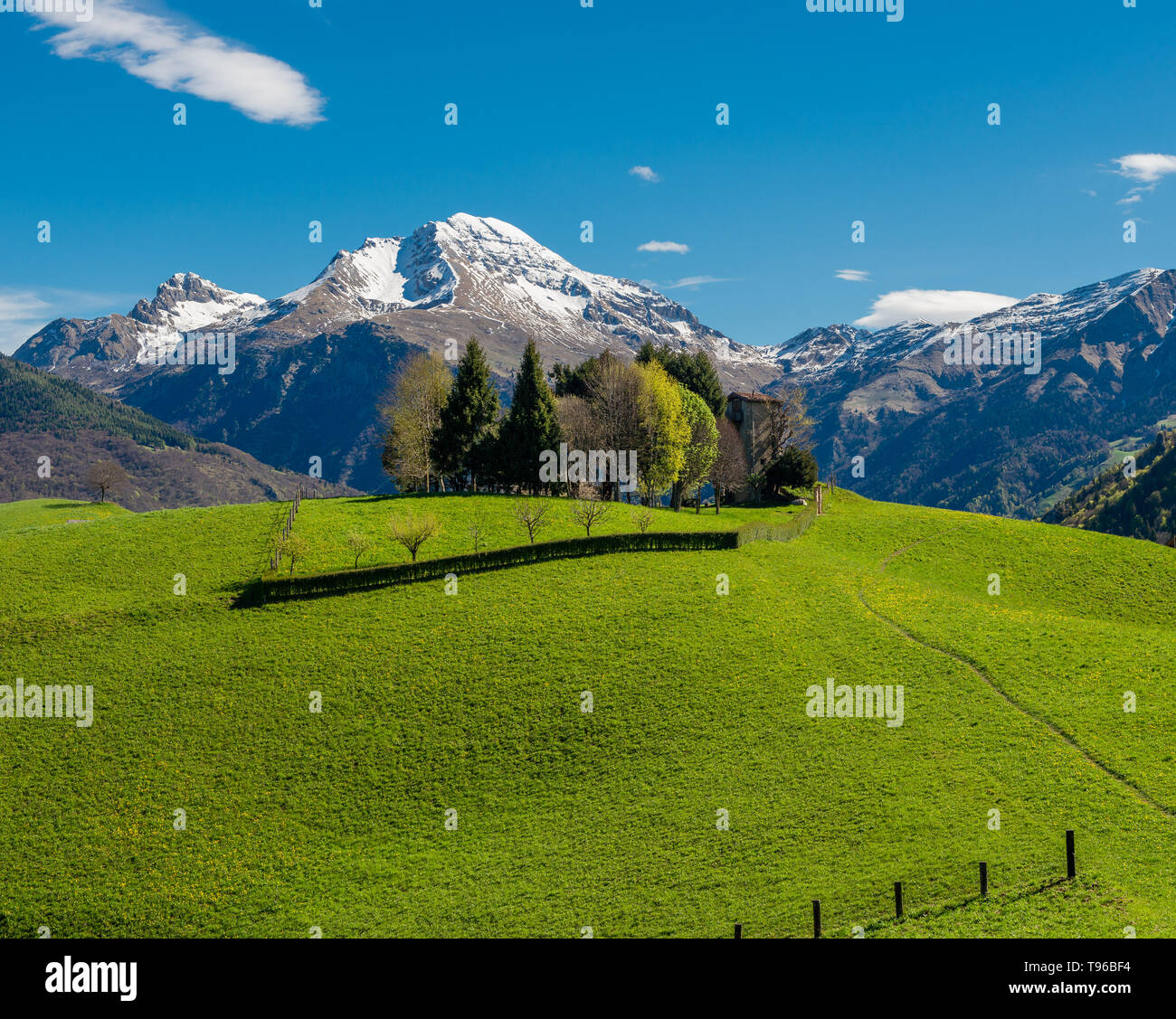 Rocolo hi-res stock photography and images - Alamy