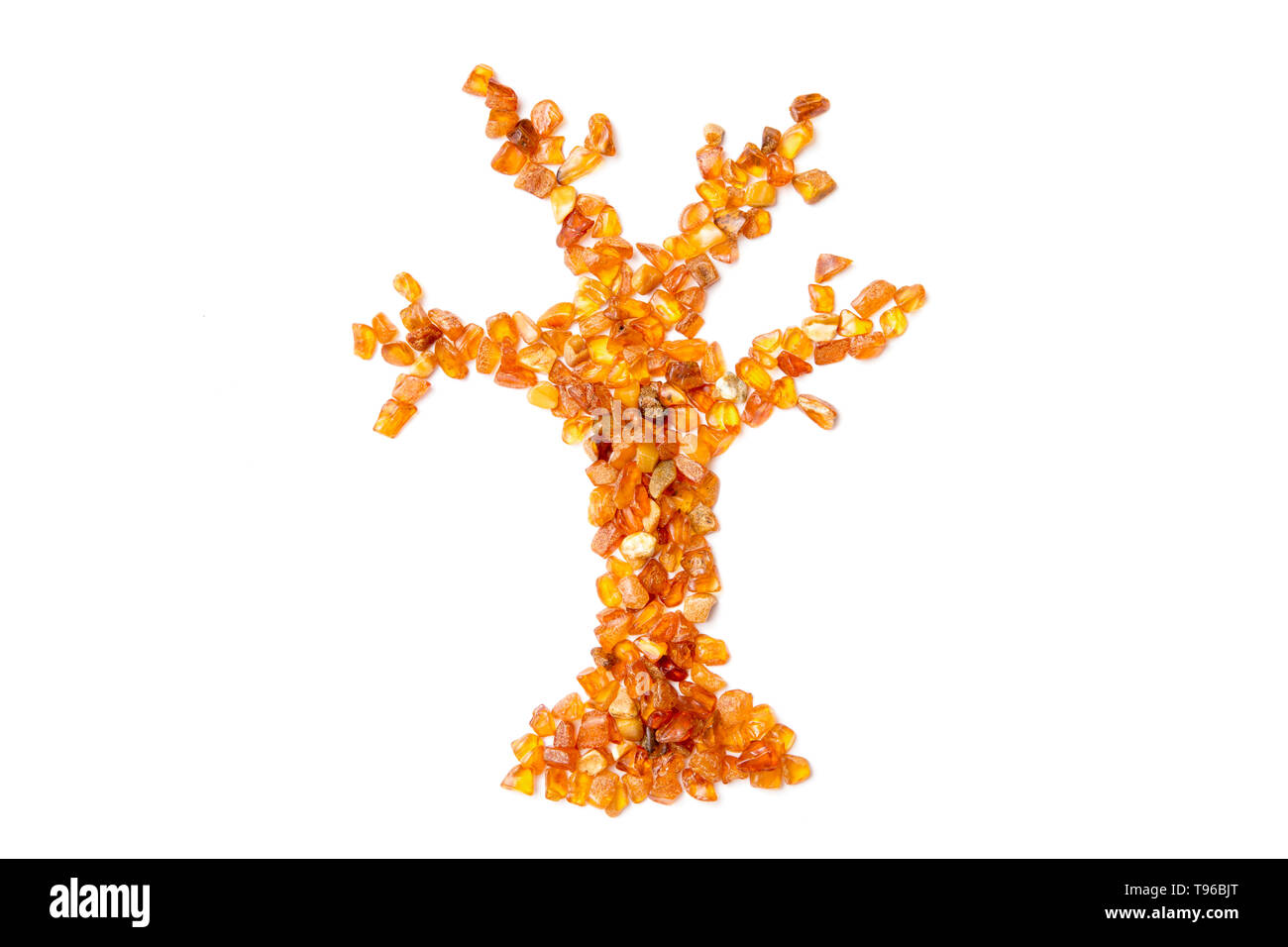 Baltic amber pieces shaped like a tree, isolated on white. The Baltic ...