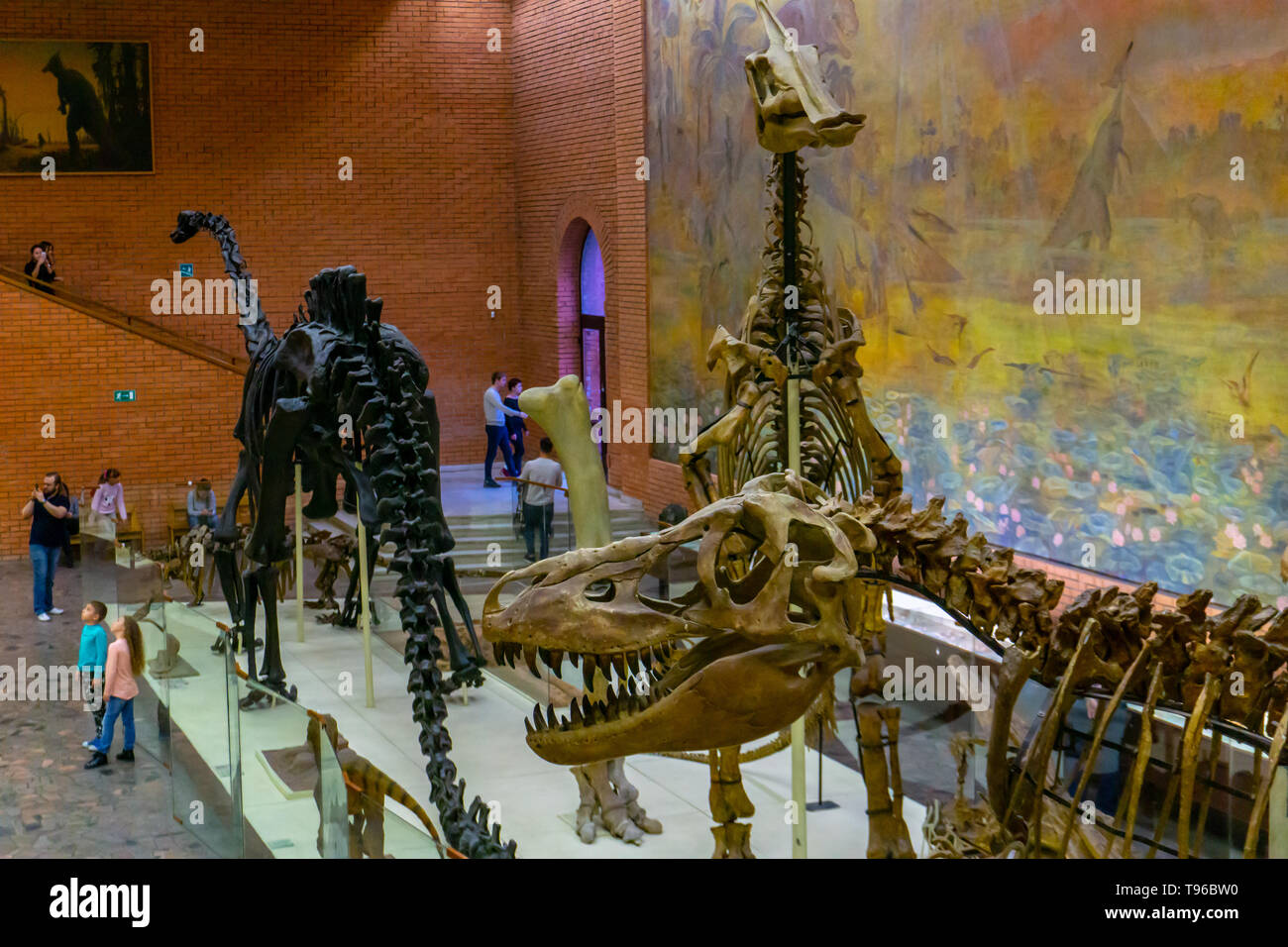 Skeleton predatory carnivorous dinosaur Tyrannosaurus. Paleontological ...