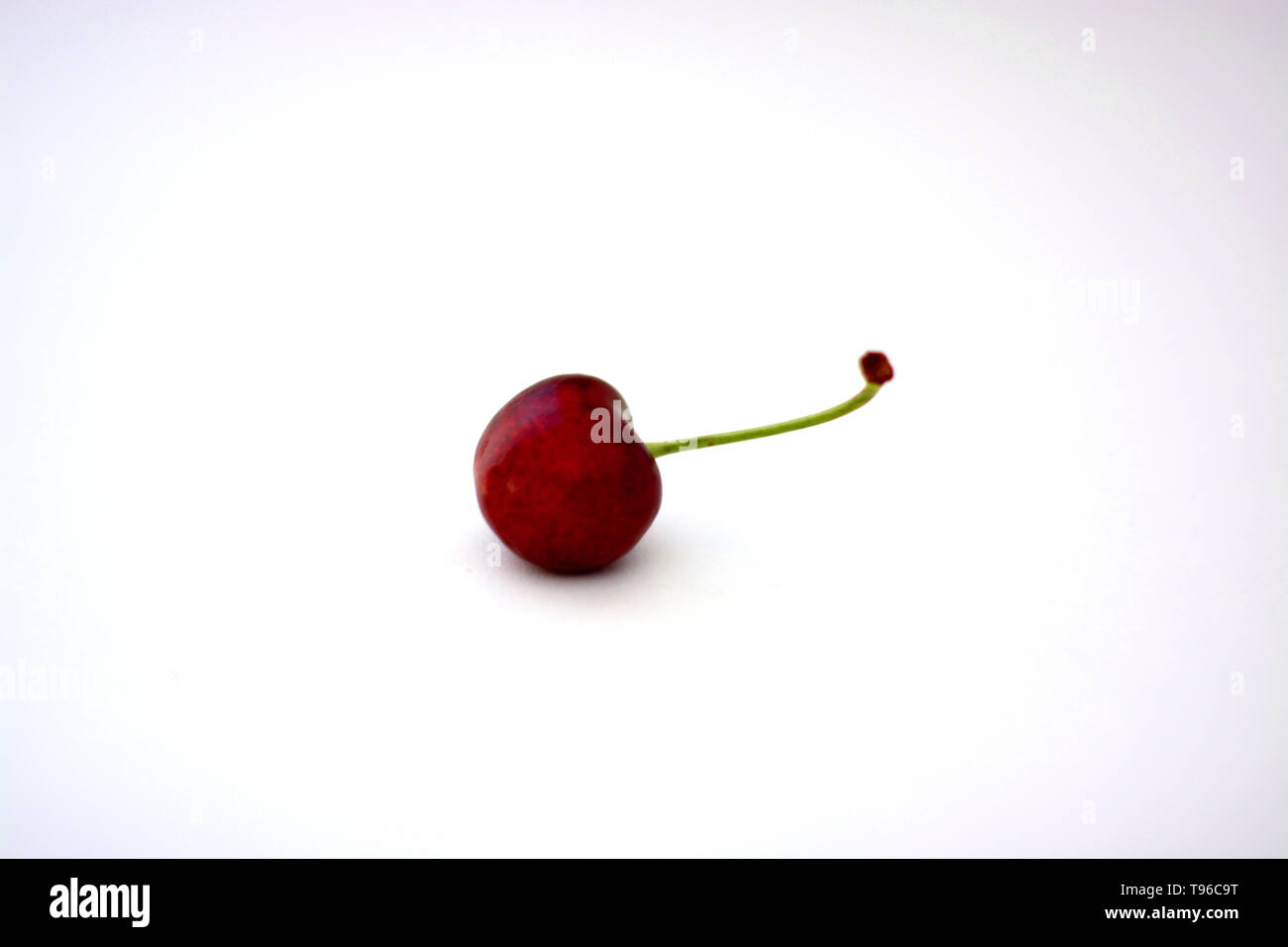 A single cherry on a white background Stock Photo - Alamy