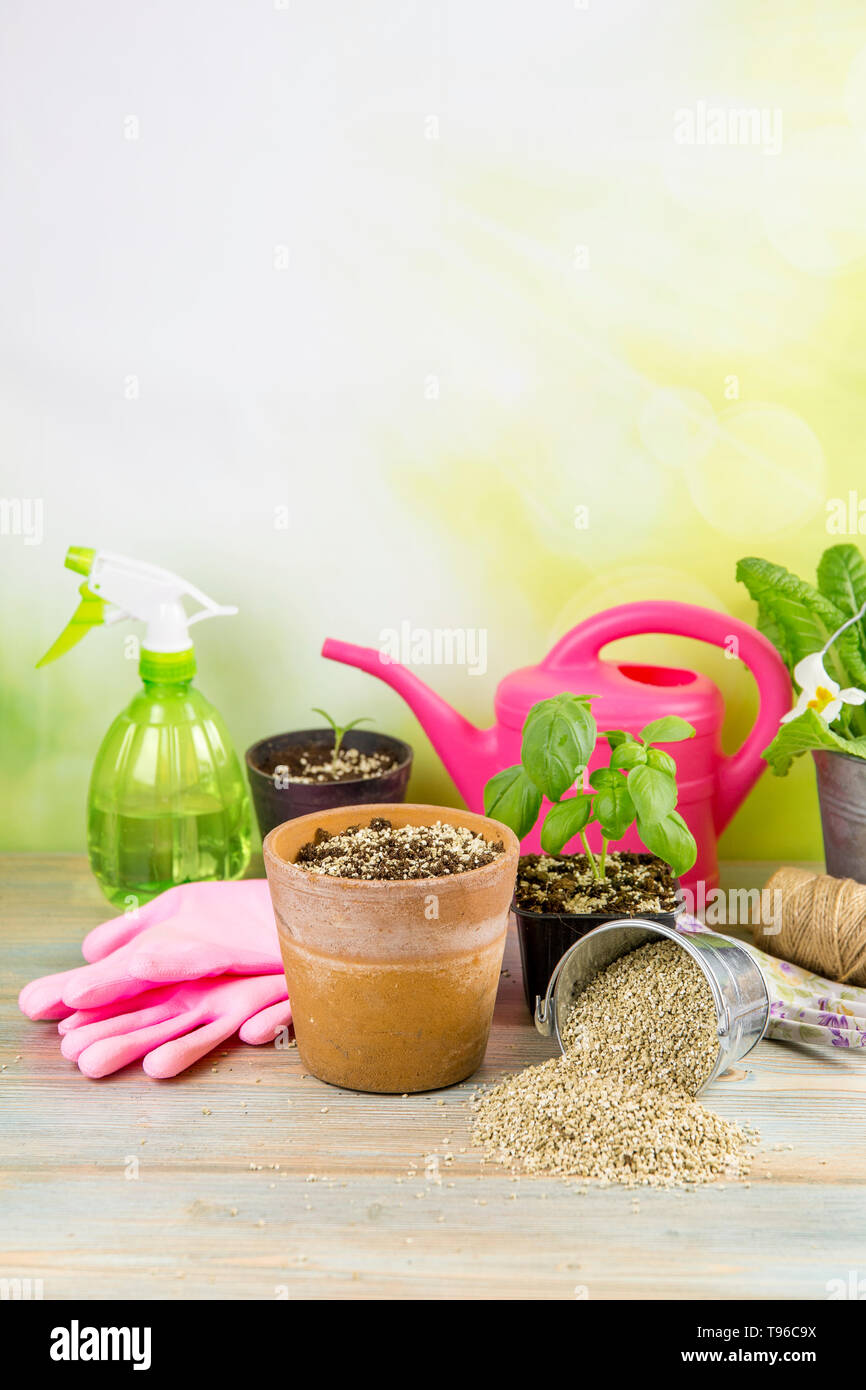 Mixing vermiculite granules pellets with black gardening soil improves ...