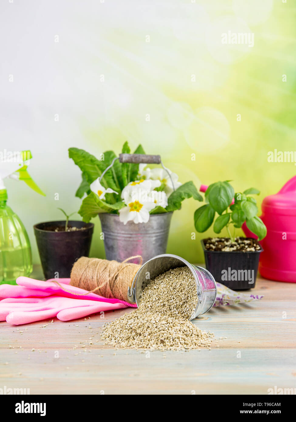 Mixing vermiculite granules pellets with black gardening soil improves ...