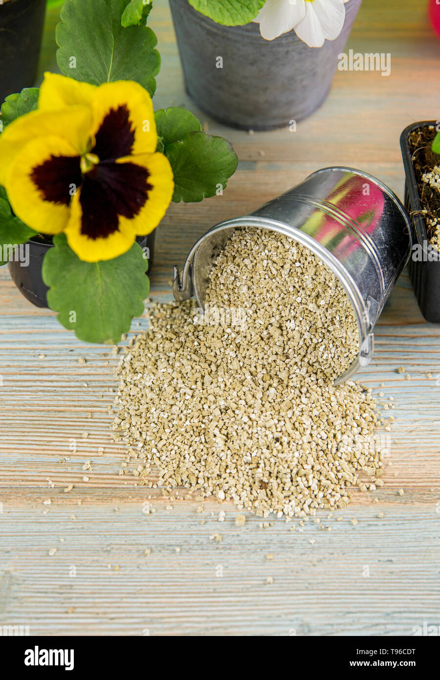 Mixing vermiculite granules pellets with black gardening soil improves ...