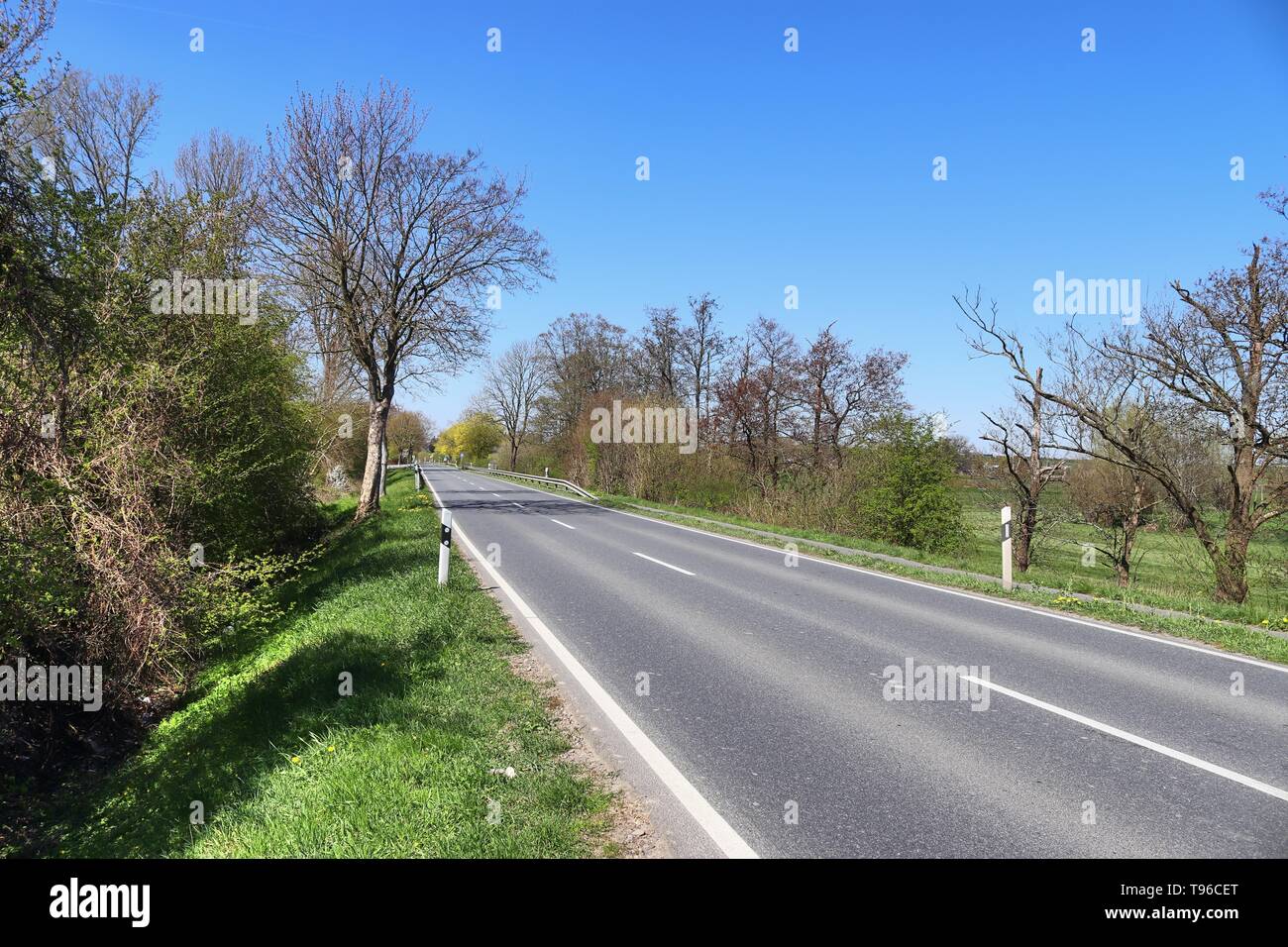 Empty Road With Trees High Resolution Stock Photography and Images - Alamy