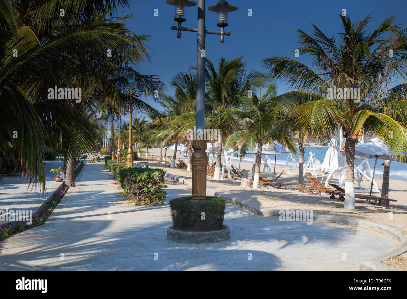 Beach promenade with palms at TTC Resort, South China Sea,Phan Rang ...