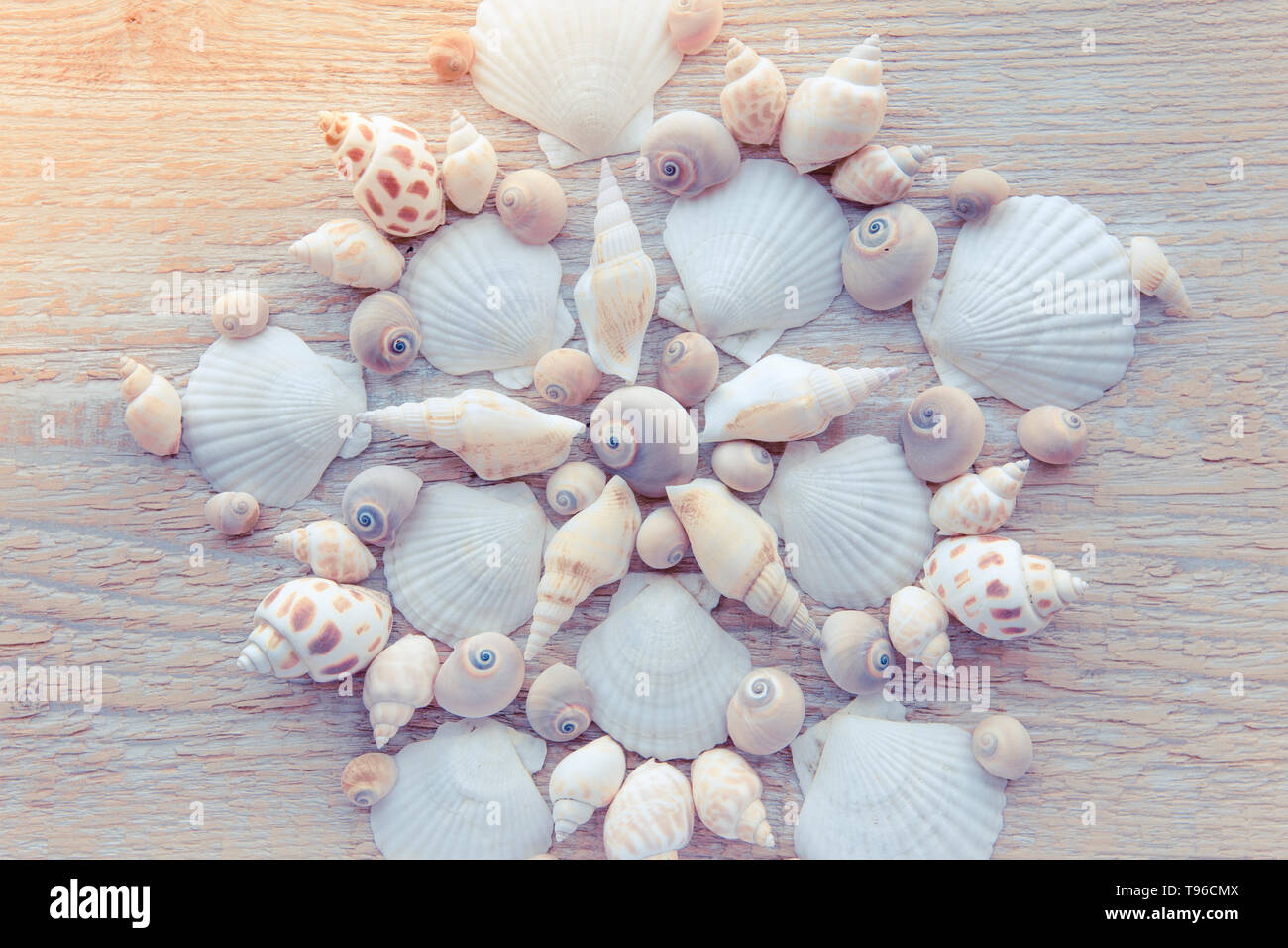 Beautiful shell mandala pattern made of real seashells. Traveling ...