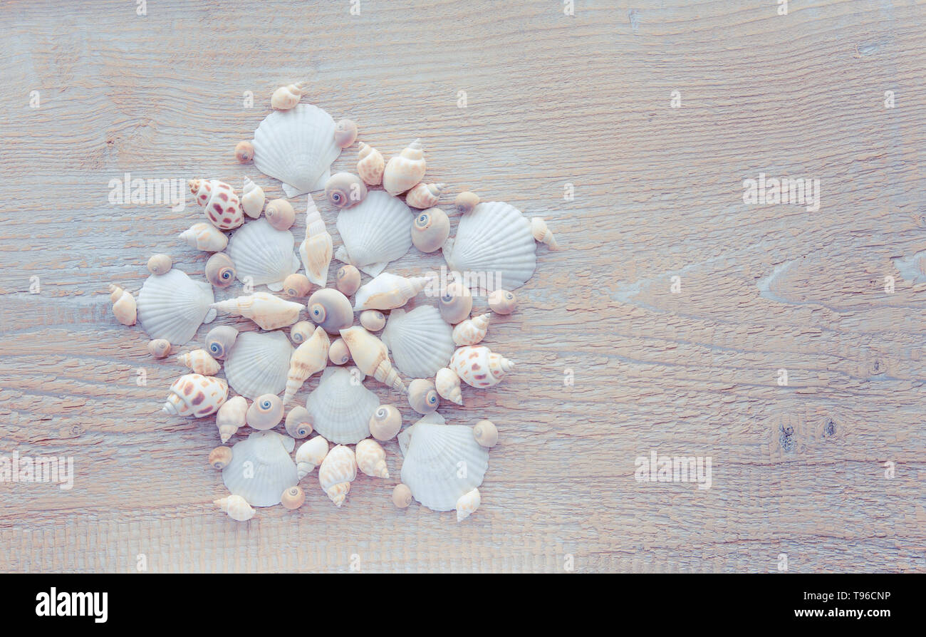 Beautiful shell mandala pattern made of real seashells. Traveling ...