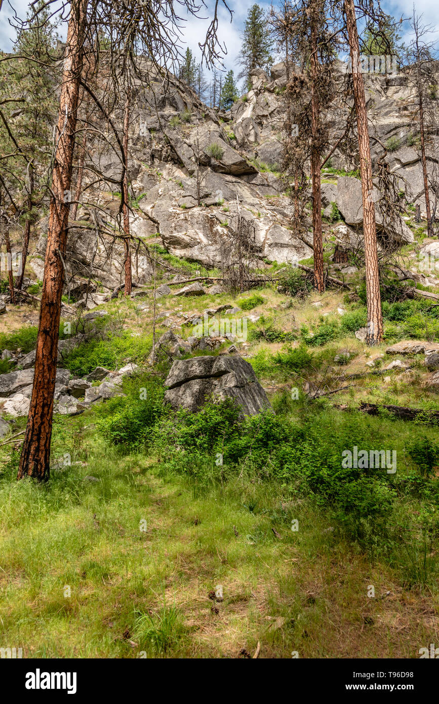 Tall Rock Cliffs At The Little Spokane Natural Area Stock Photo - Alamy