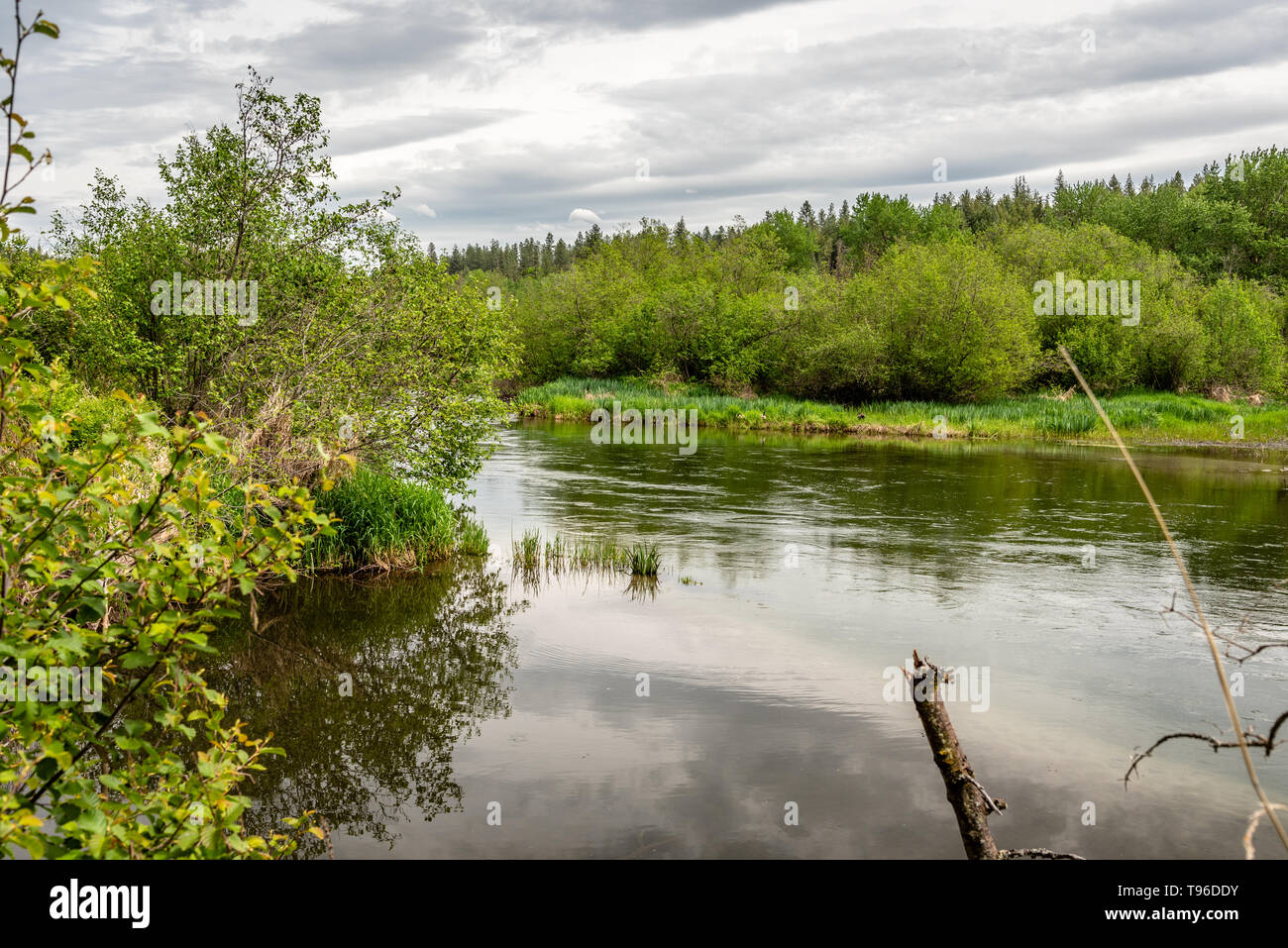 Little Spokane River At The Painted Rocks Area Stock Photo - Alamy