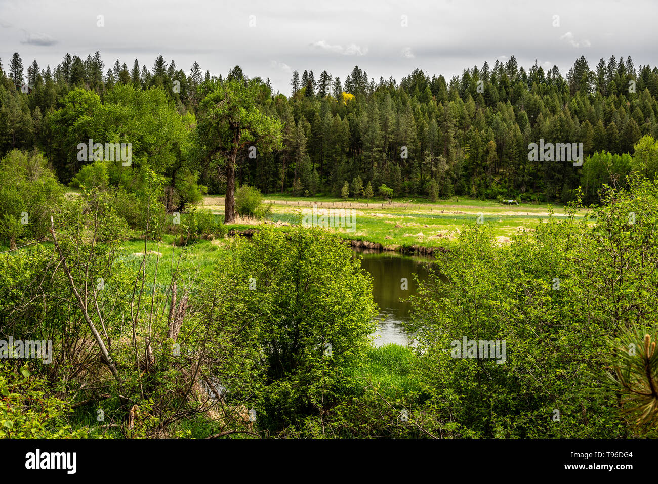 Little Spokane River At The Painted Rocks Area Stock Photo - Alamy