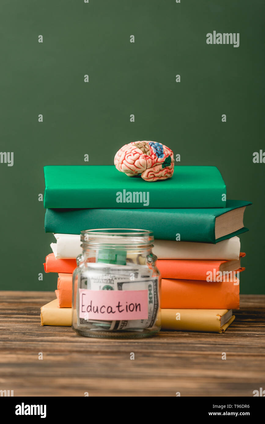 Brain surface anatomy hi-res stock photography and images - Alamy
