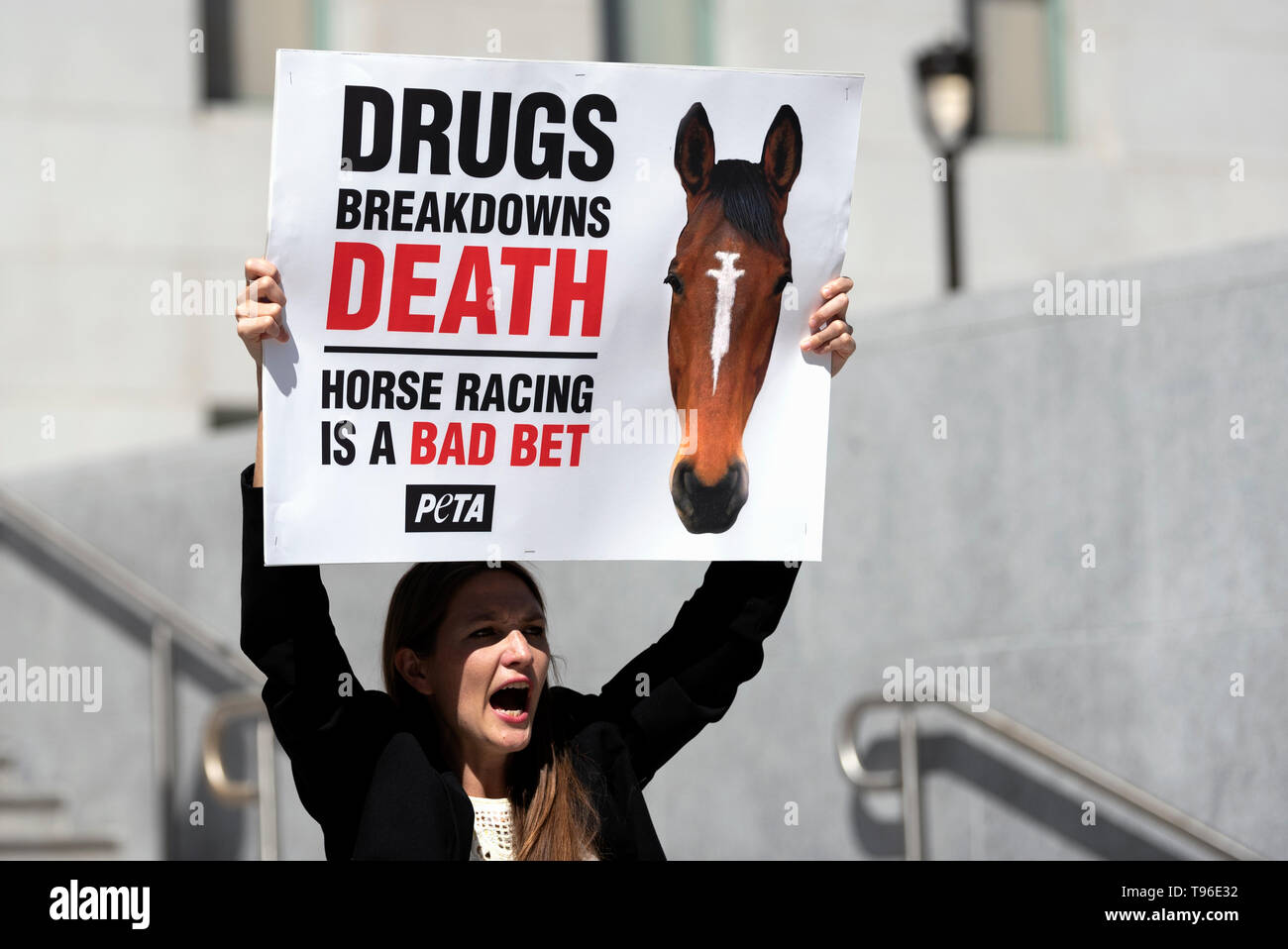 Bet on animal hi-res stock photography and images - Alamy