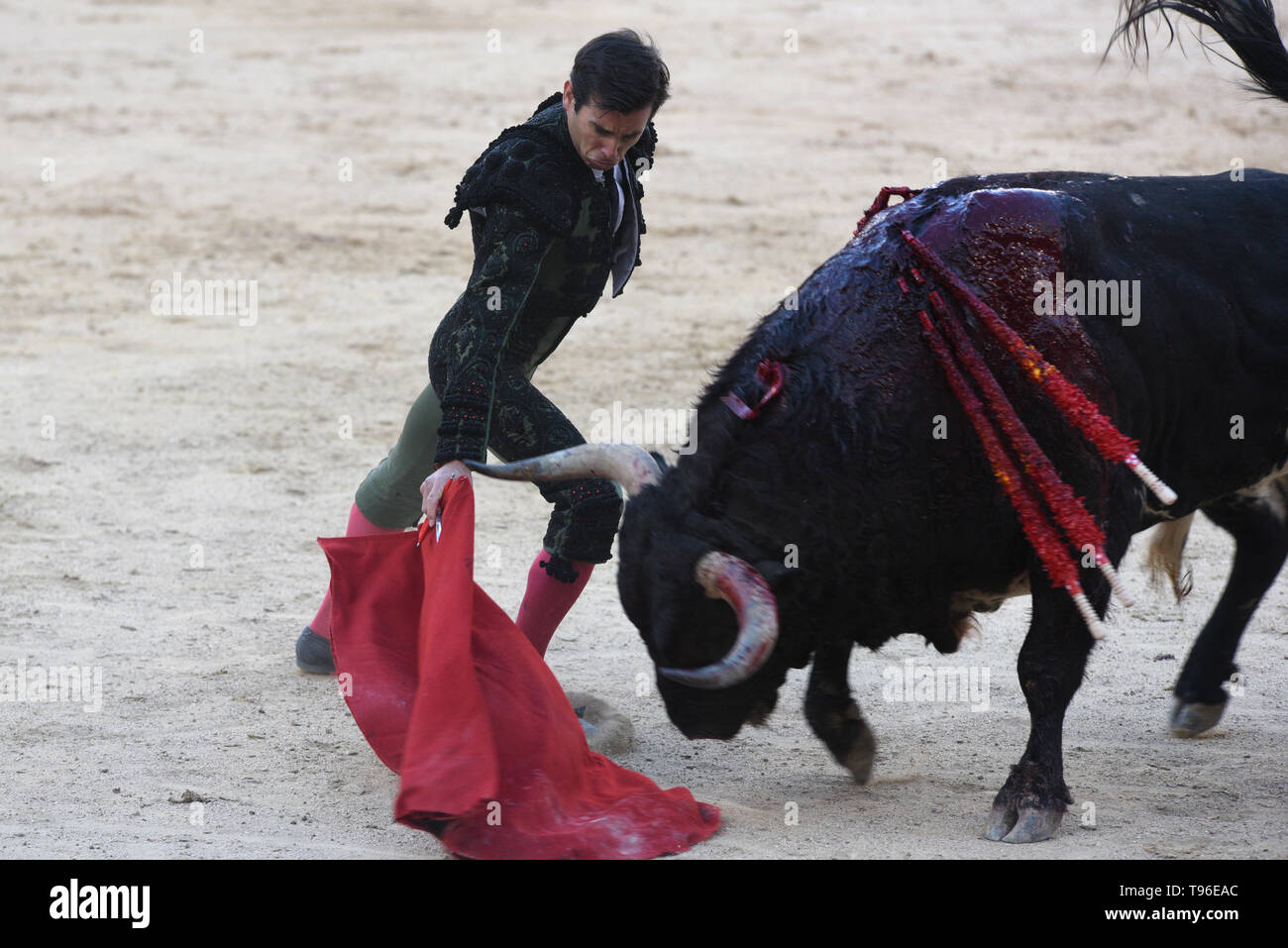 Spanish matador Juan Ortega is seen performing with a 'Valdefresno ...