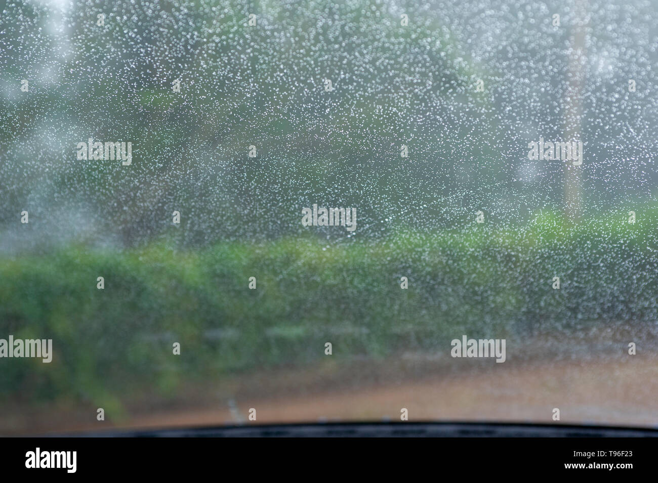 Rain Mist on Windscreen looking at Garden Hedge Stock Photo - Alamy