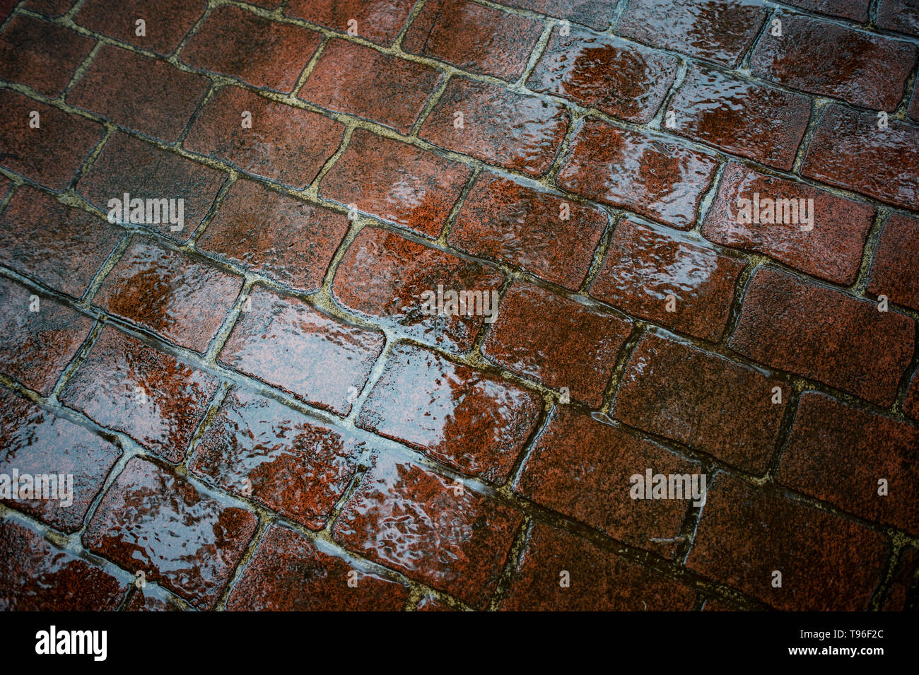 Wet Brown Bricks on Pathway Stock Photo - Alamy
