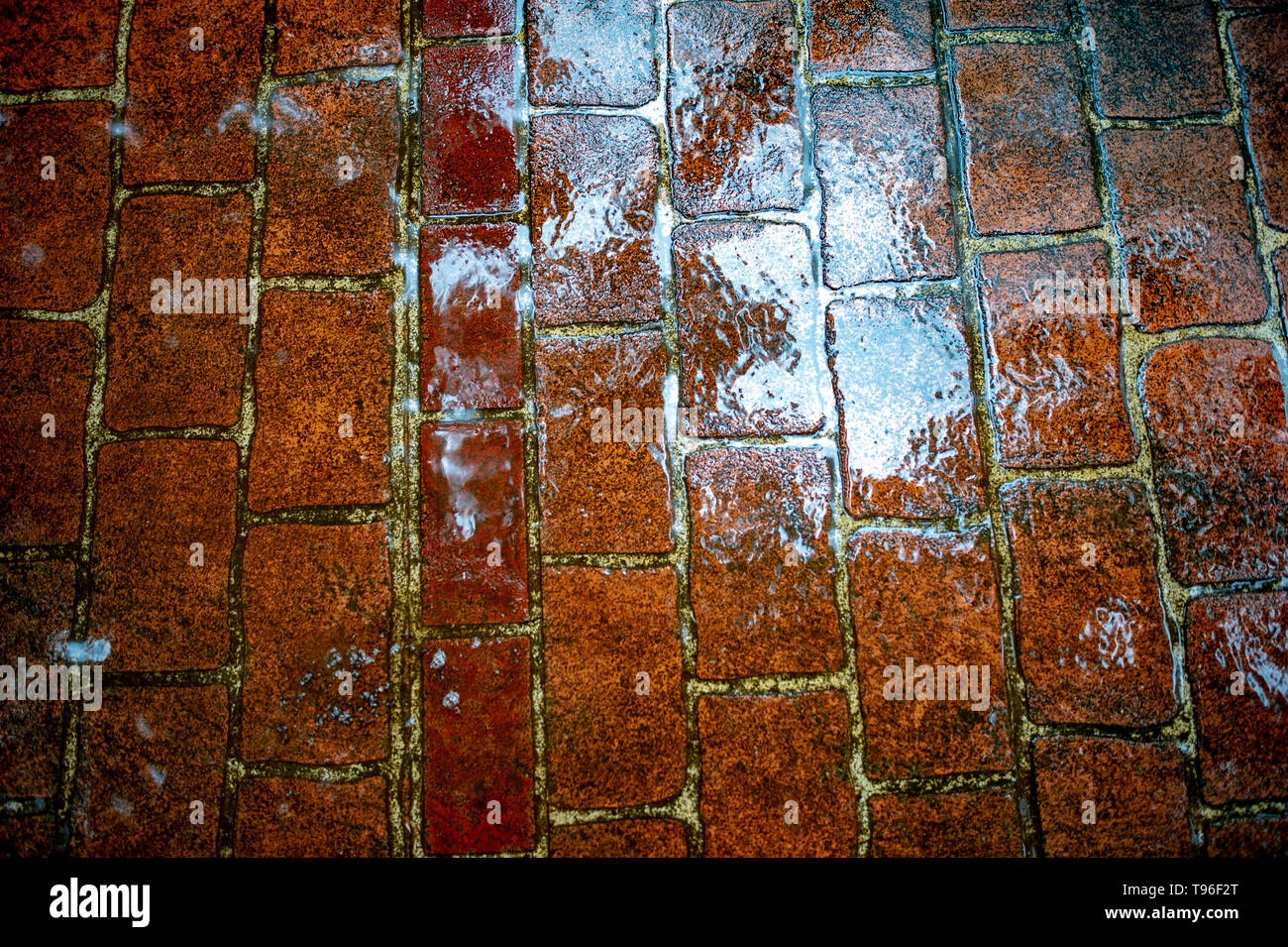 Wet Brown Bricks on Pathway Stock Photo - Alamy