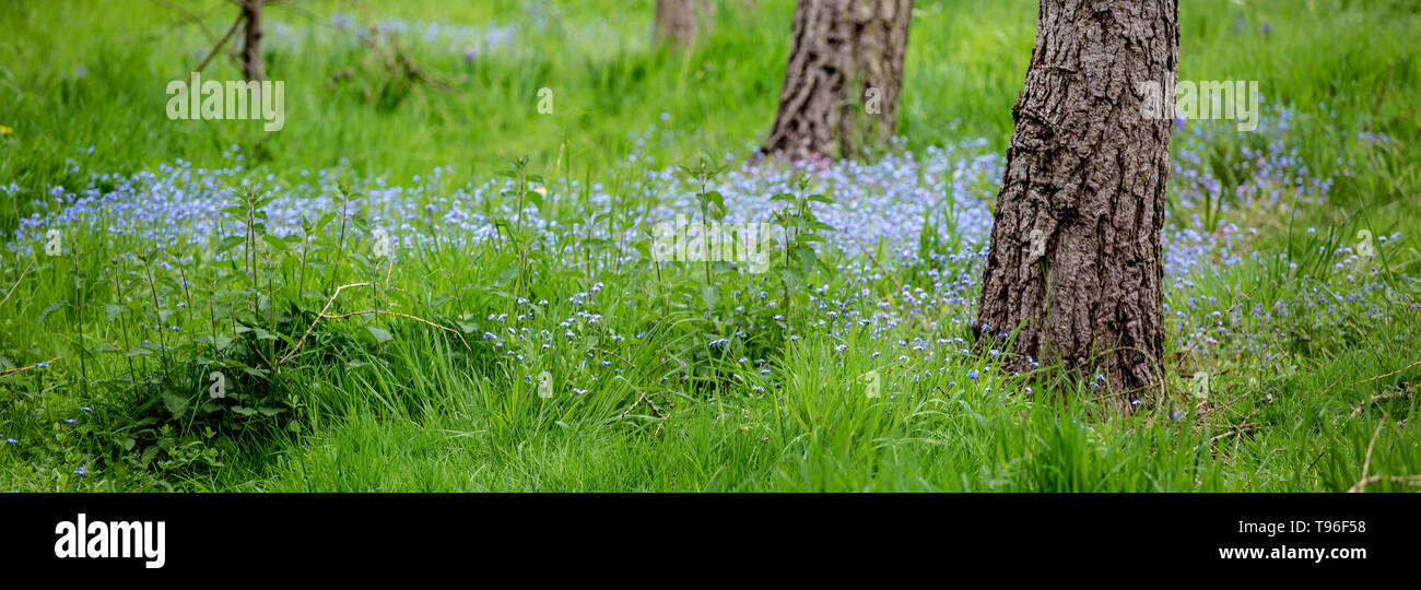 Countryside in Blue Stock Photo - Alamy